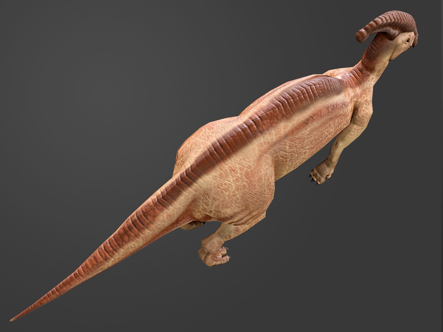 Ready Parasaurolophus 3D Model - TurboSquid 1566054