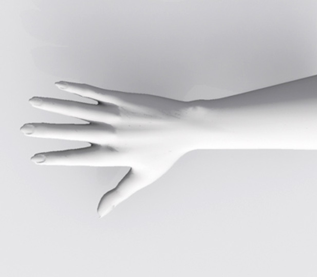 Max Hand Female Woman