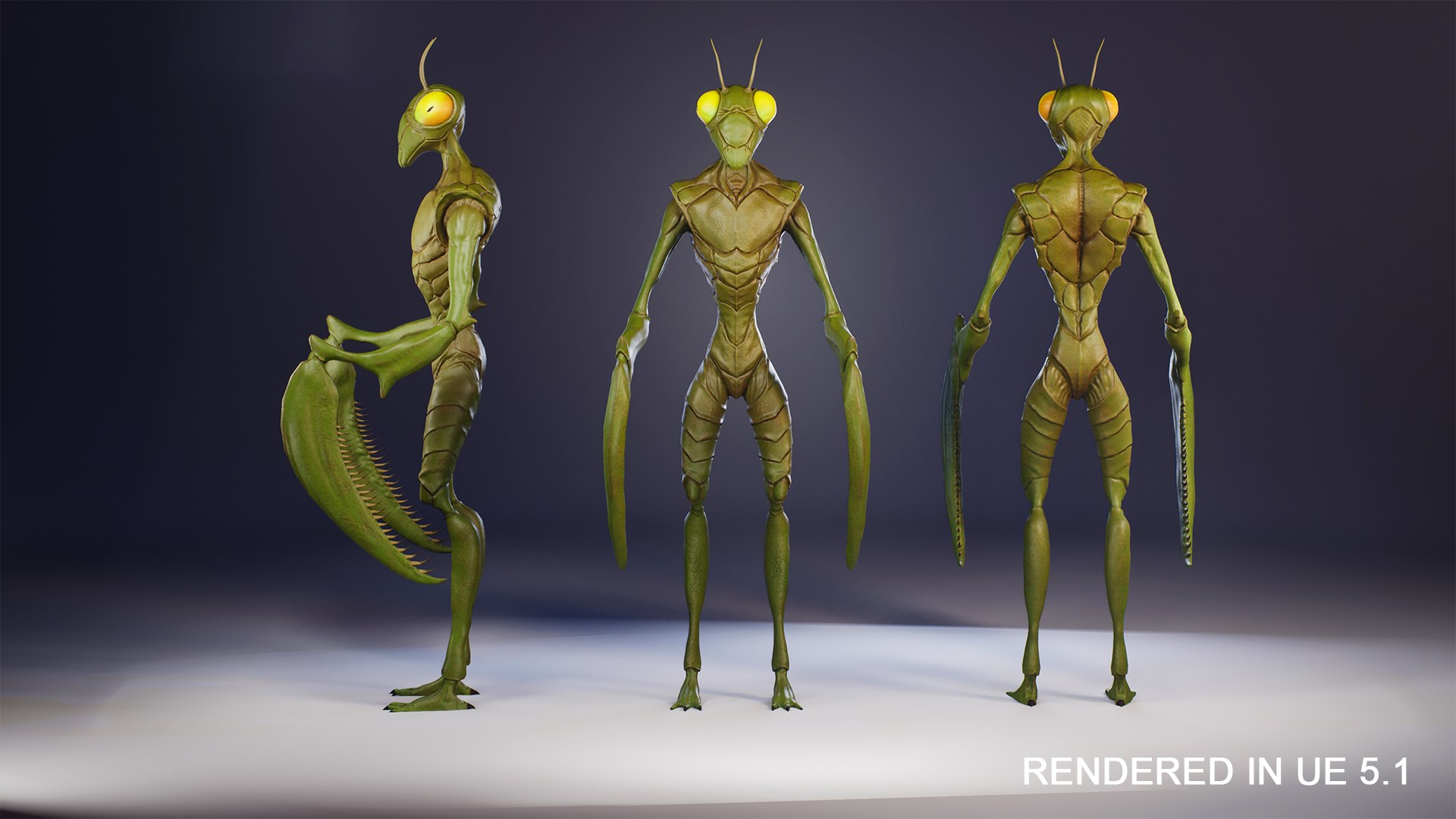 Insect Creature Model - TurboSquid 2256448