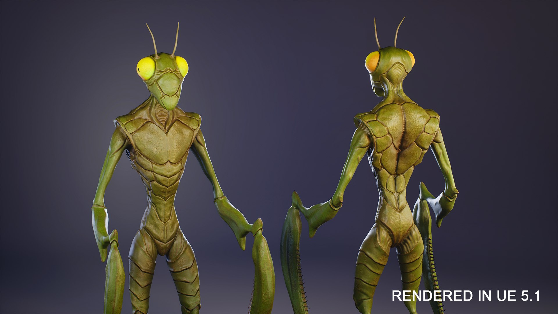 Insect Creature Model - TurboSquid 2256448