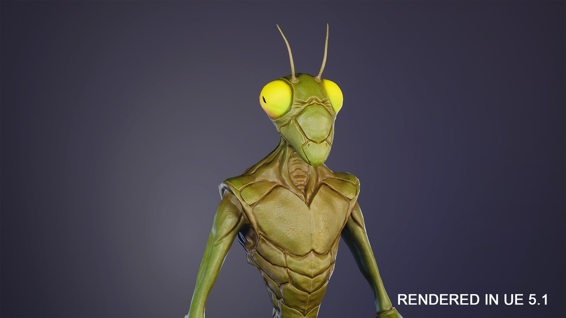 Insect Creature Model - TurboSquid 2256448