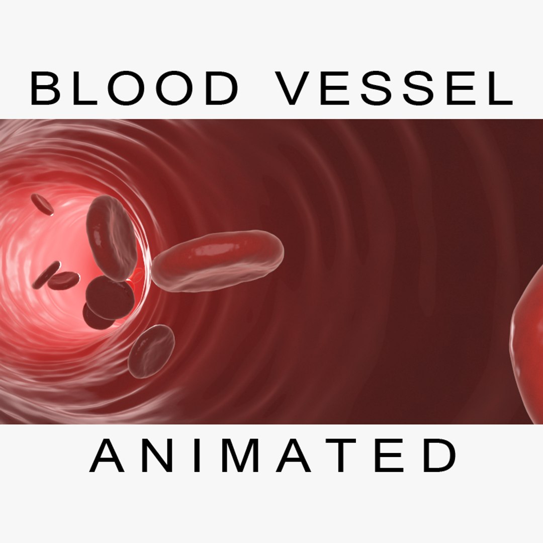 Blood Cells Vessel Animations 3d Model