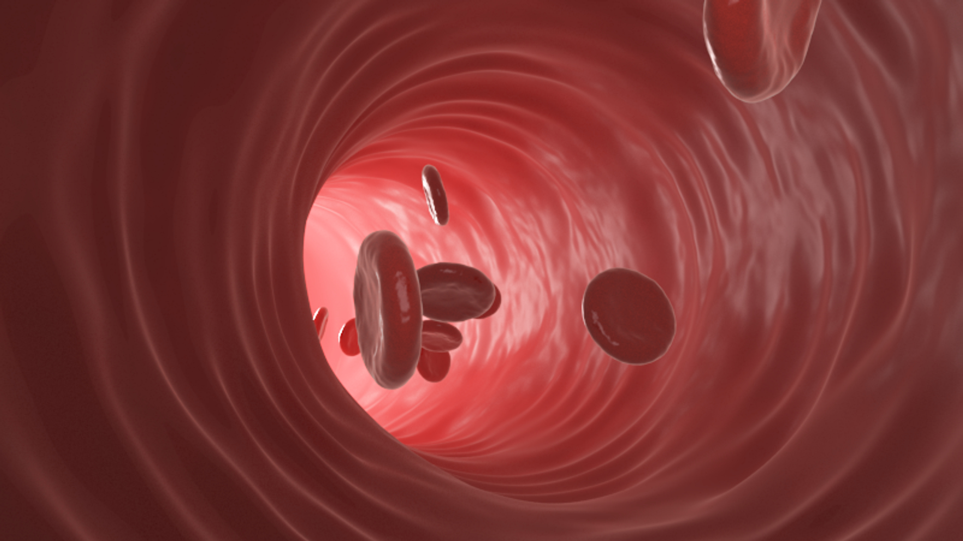 Blood Cells Vessel Animations 3d Model