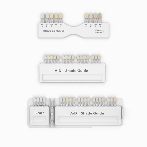 Dental Porcelain Teeth Shade Guide 3D model - TurboSquid 1729993