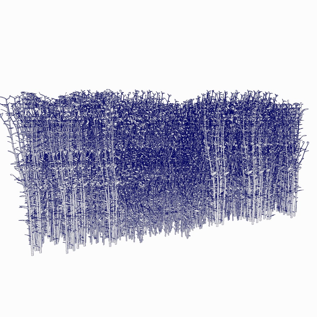 Garden Hedge 3D Model - TurboSquid 2348865