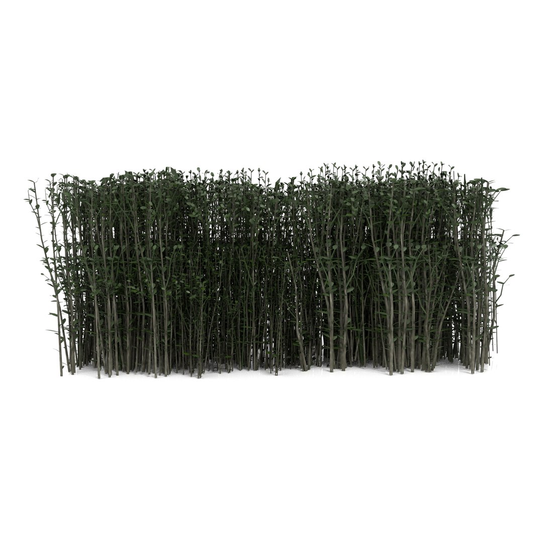Garden Hedge 3D Model - TurboSquid 2348865