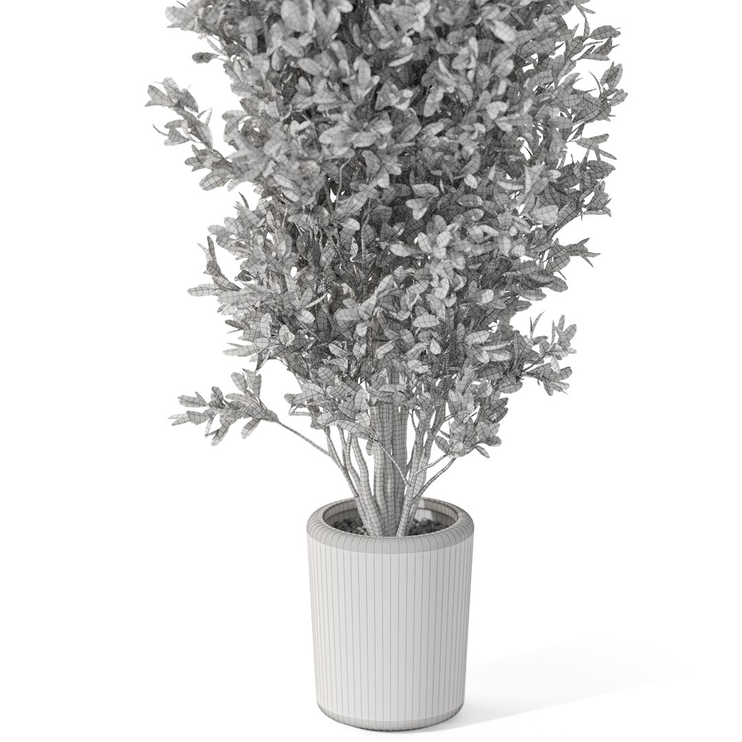 3D Plants Collection 1072 Model - TurboSquid 2214292