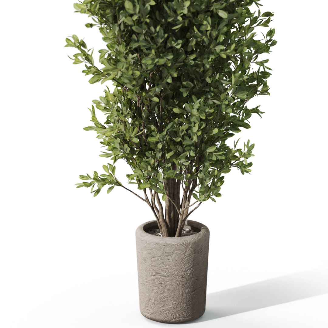 3D Plants Collection 1072 Model - TurboSquid 2214292