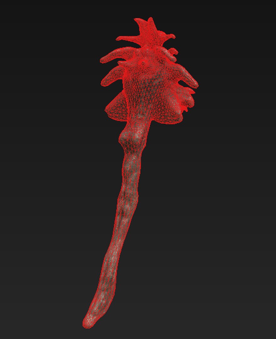 3d Staff Model