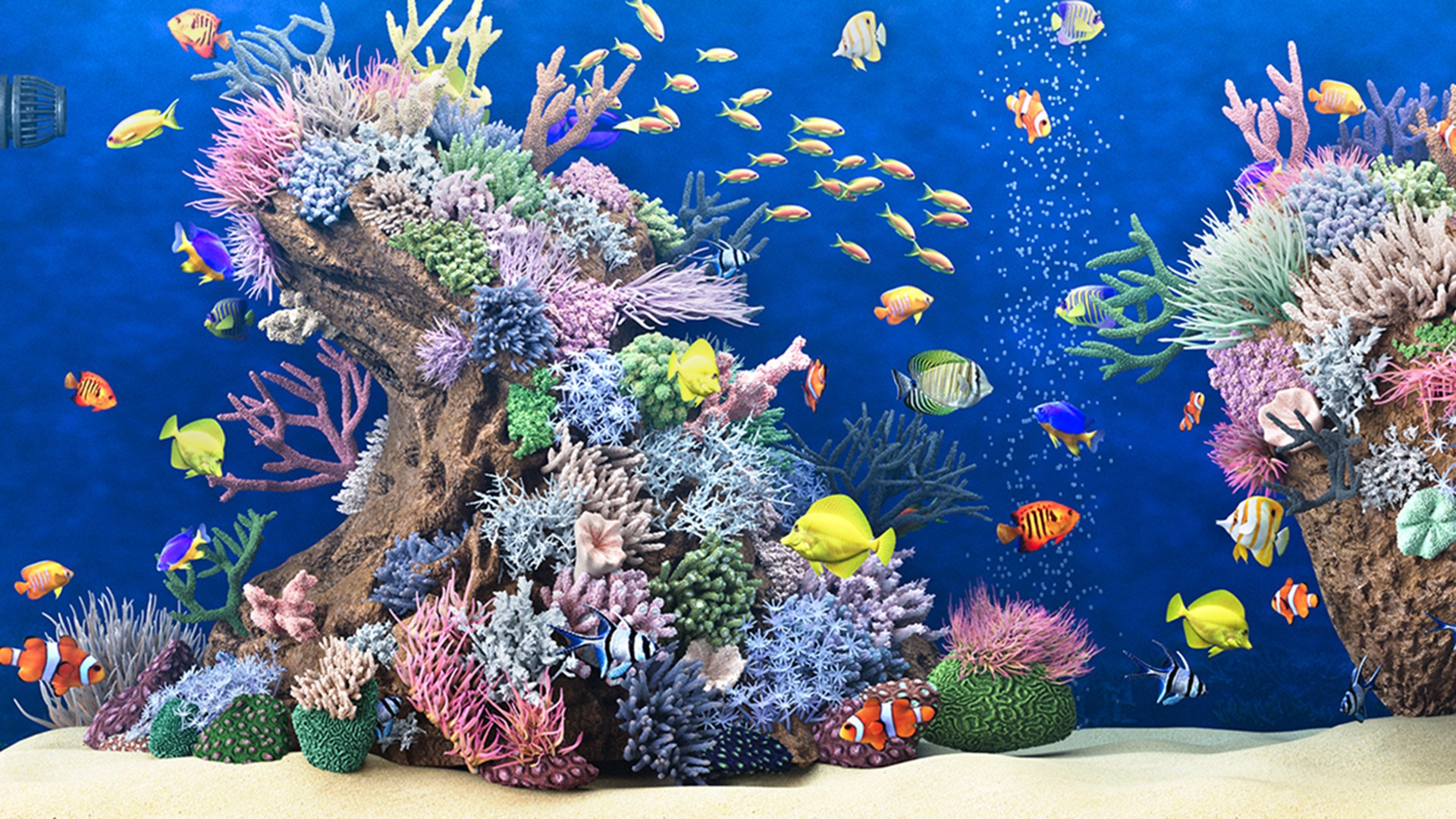 3D Marine Aquarium 2 Model - TurboSquid 2398787
