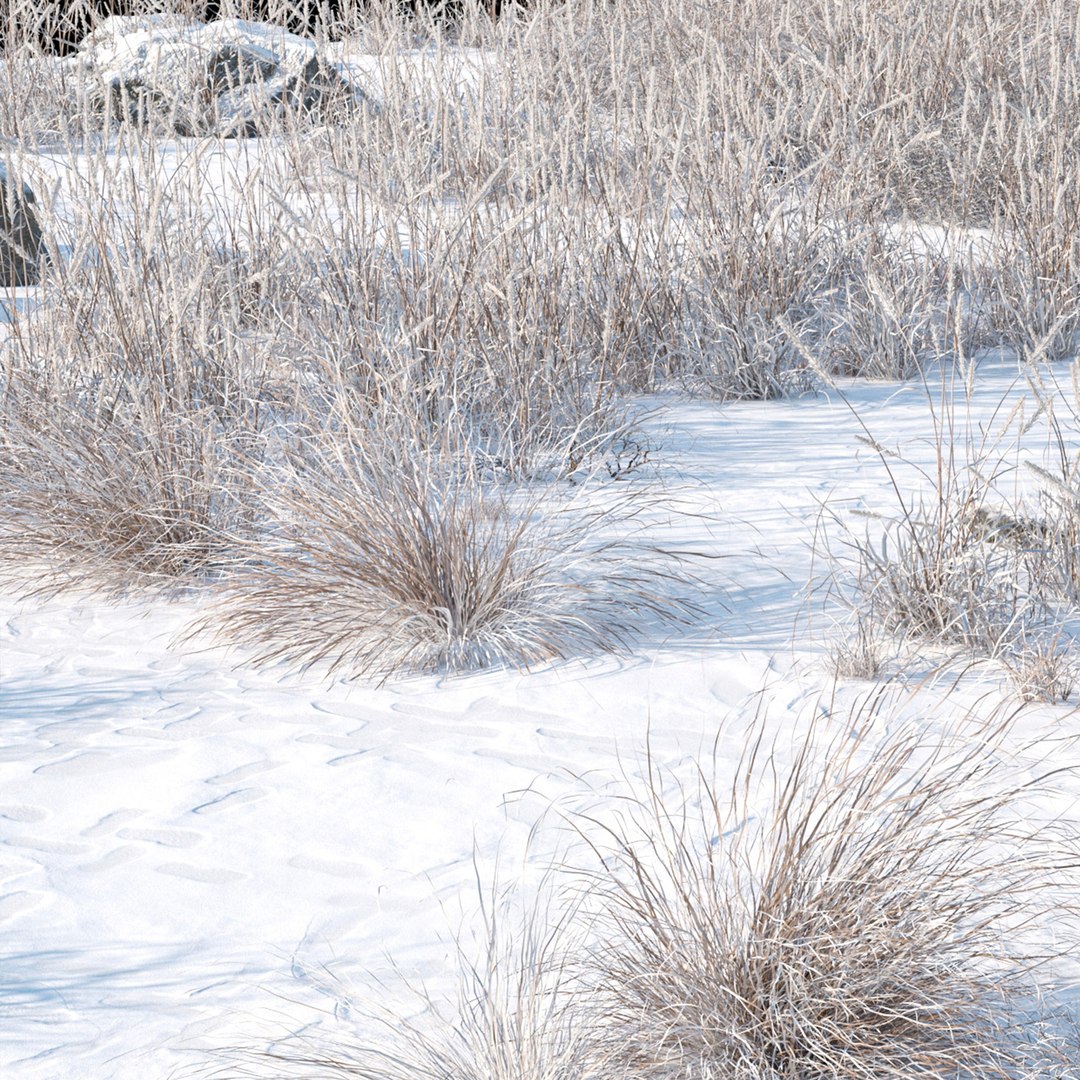3D Snowy Biome - TurboSquid 2415155