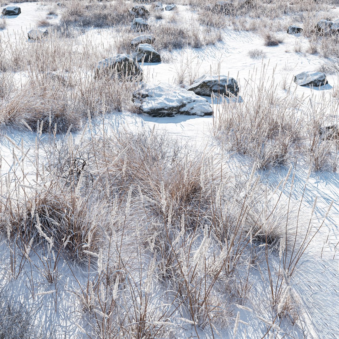 3D Snowy Biome - TurboSquid 2415155