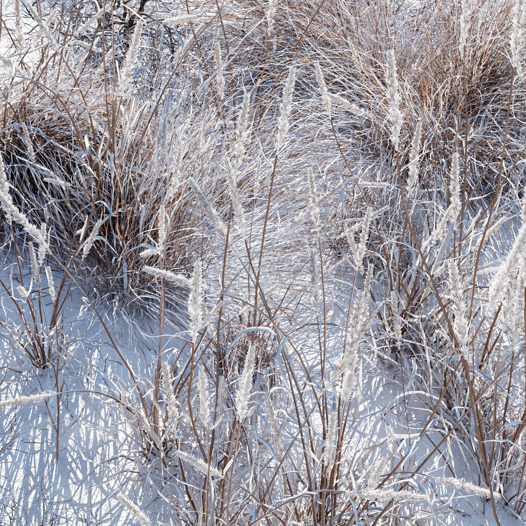 3D Snowy Biome - TurboSquid 2415155