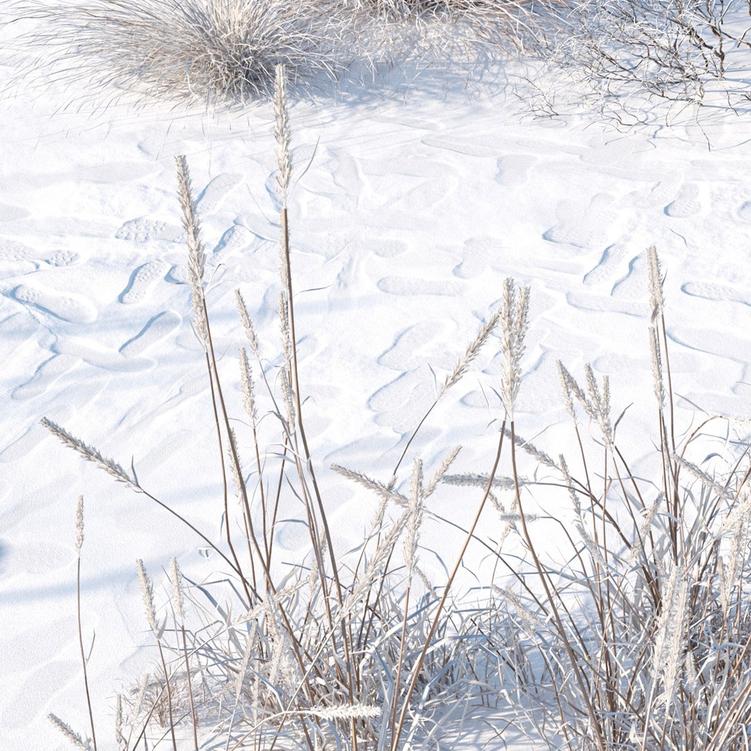 3D Snowy Biome - TurboSquid 2415155