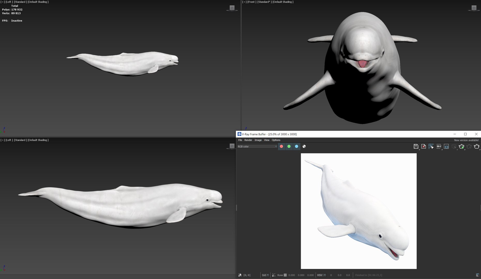 Beluga Whale 3D - TurboSquid 1971899