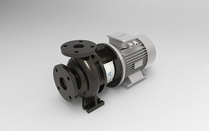 max worm gear motor