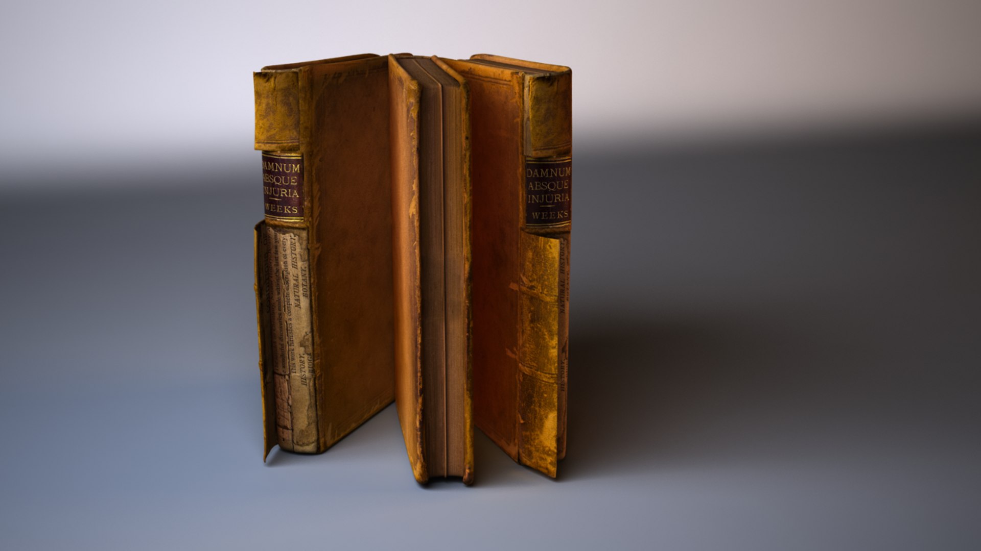 Maya Realistic Old Book