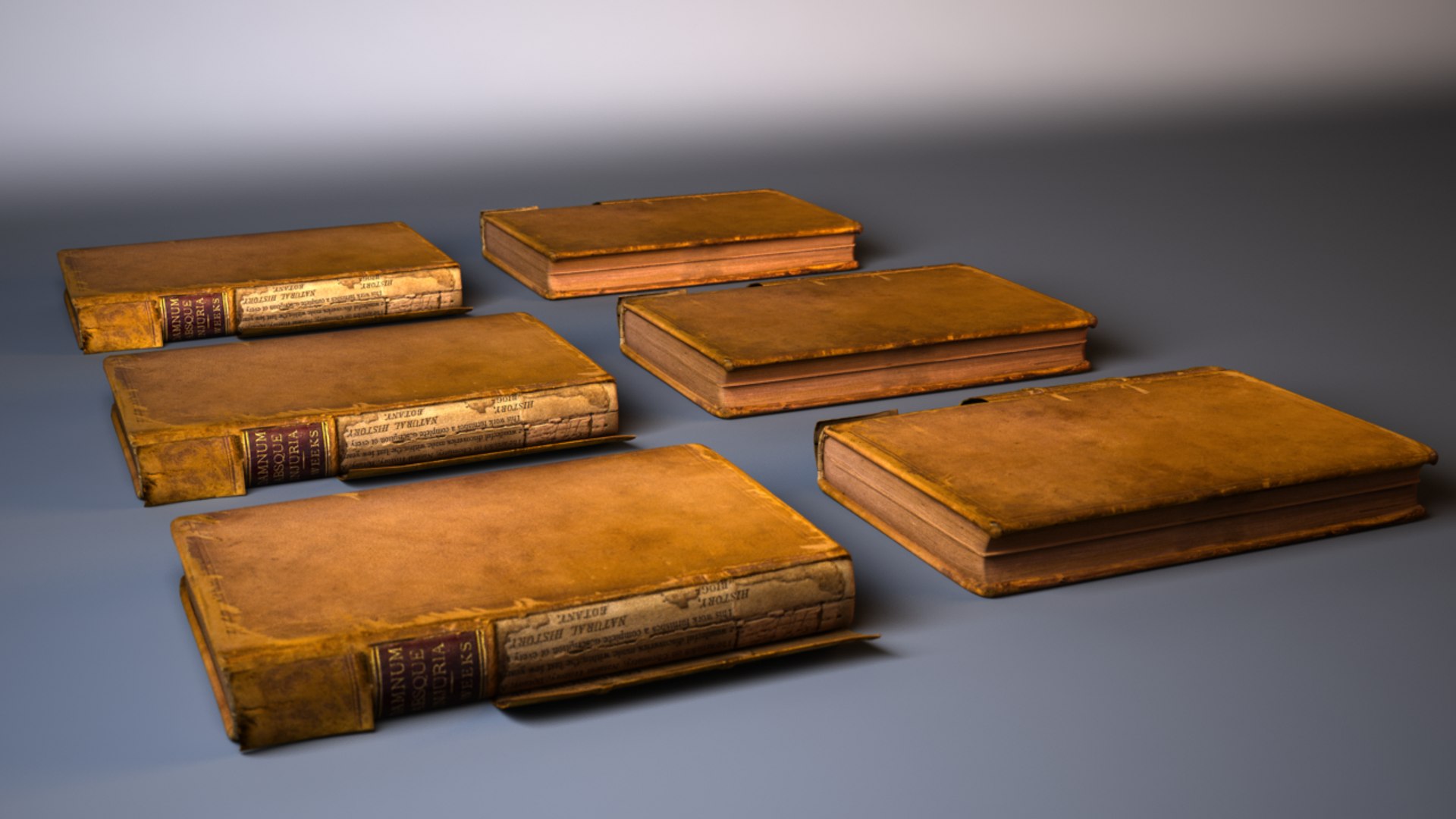 Maya Realistic Old Book