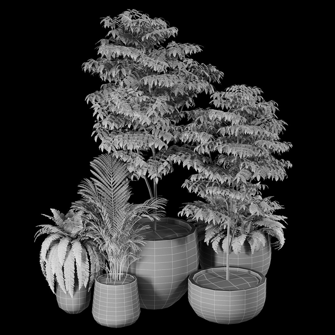 Pottery Pots Model - TurboSquid 1725002