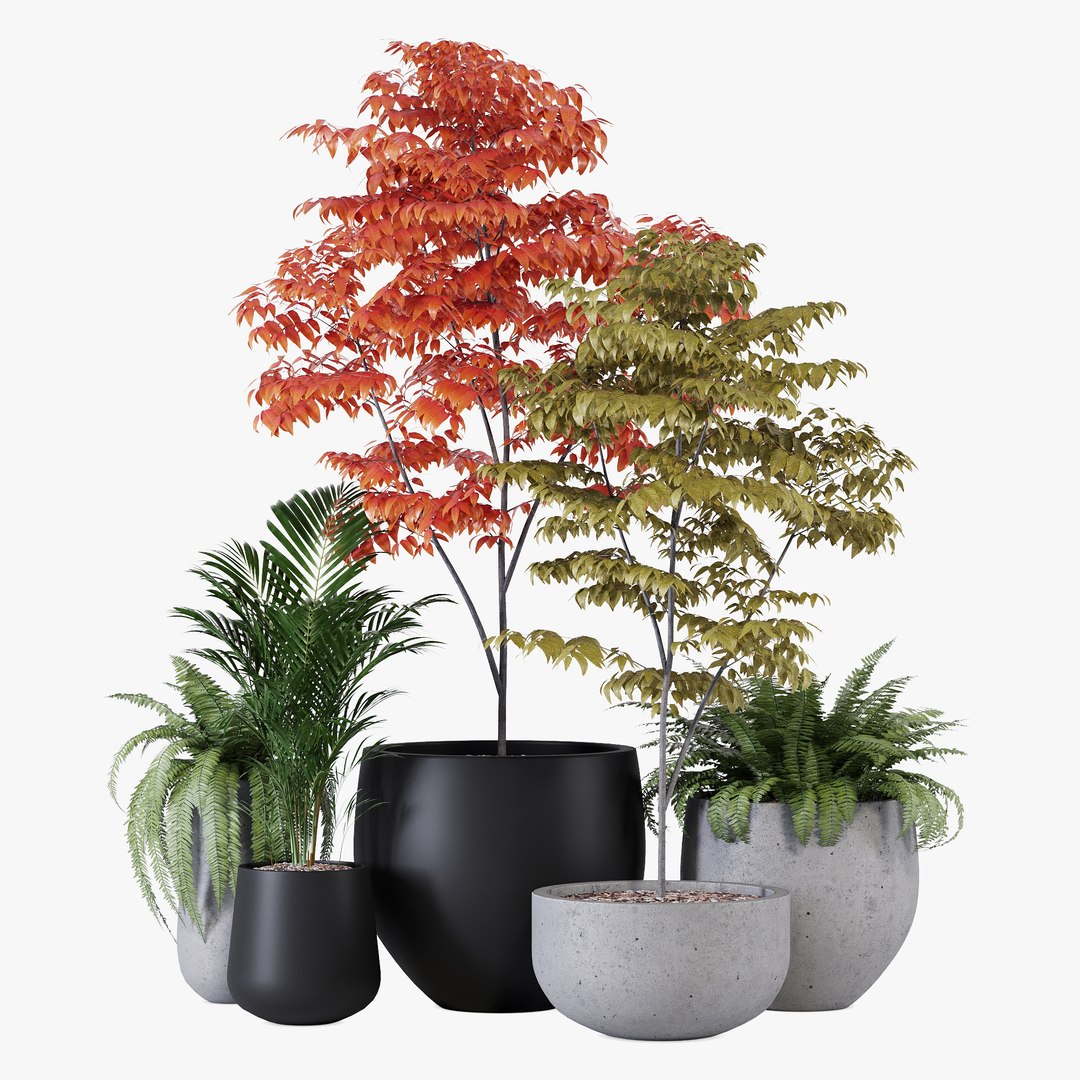 Pottery Pots Model - TurboSquid 1725002