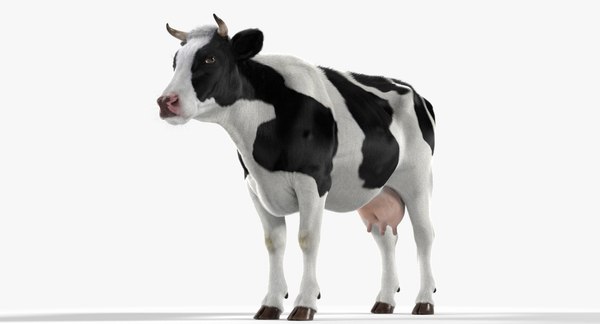 3d cow realistic model