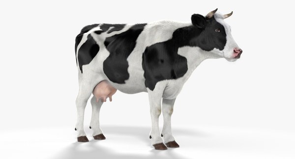 3d cow realistic model