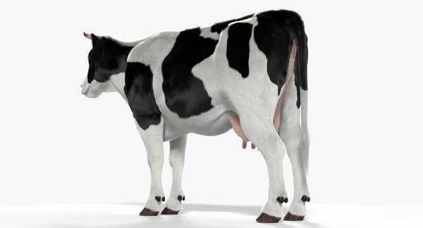3d cow realistic model