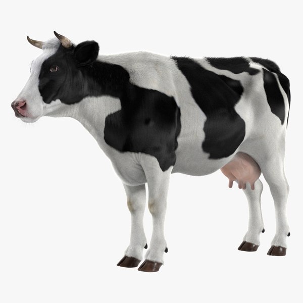 3d cow realistic model