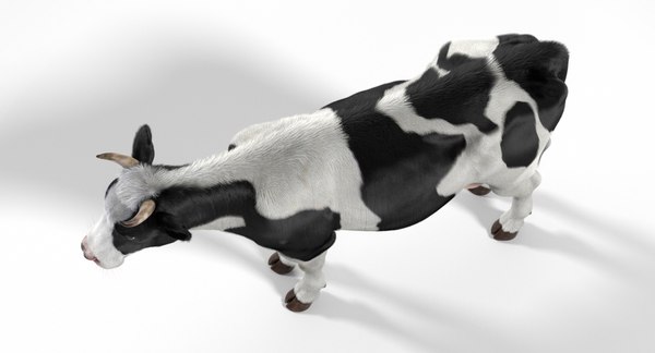 3d cow realistic model