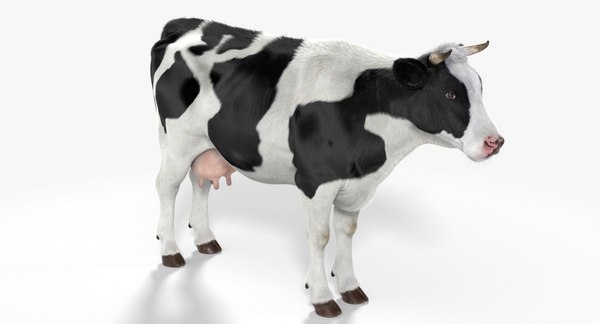 3d cow realistic model