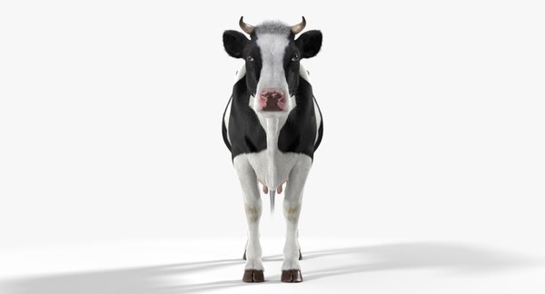 3d cow realistic model