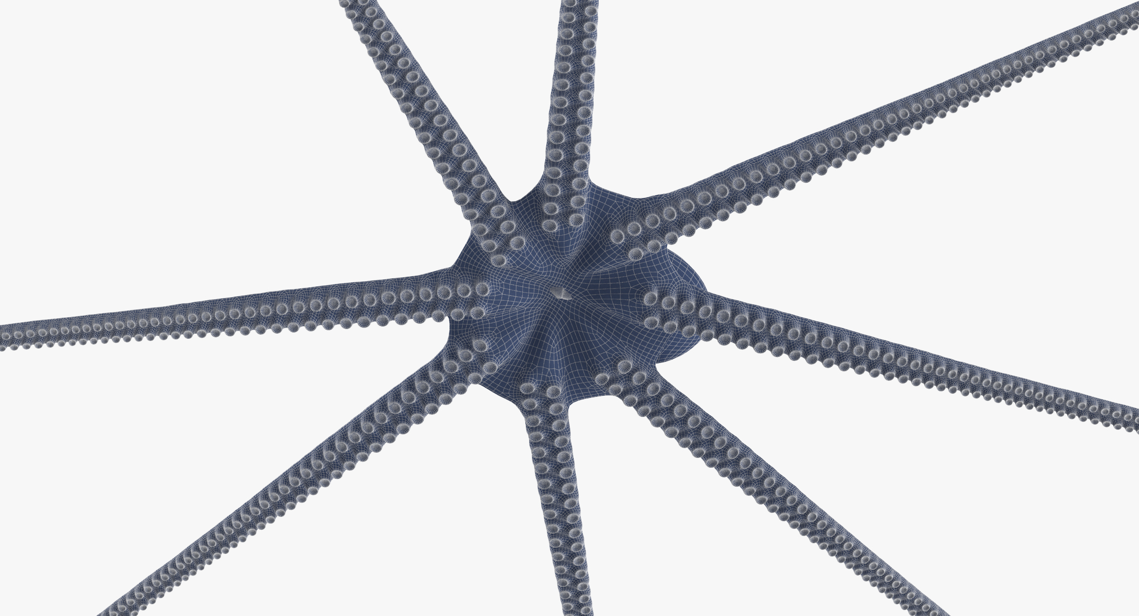 Octopus stemcell model - TurboSquid 1182485