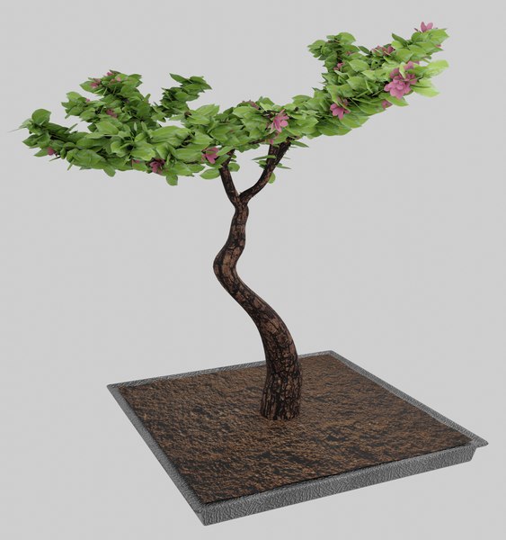 Bonsai Conifer glTF Models for Download | TurboSquid