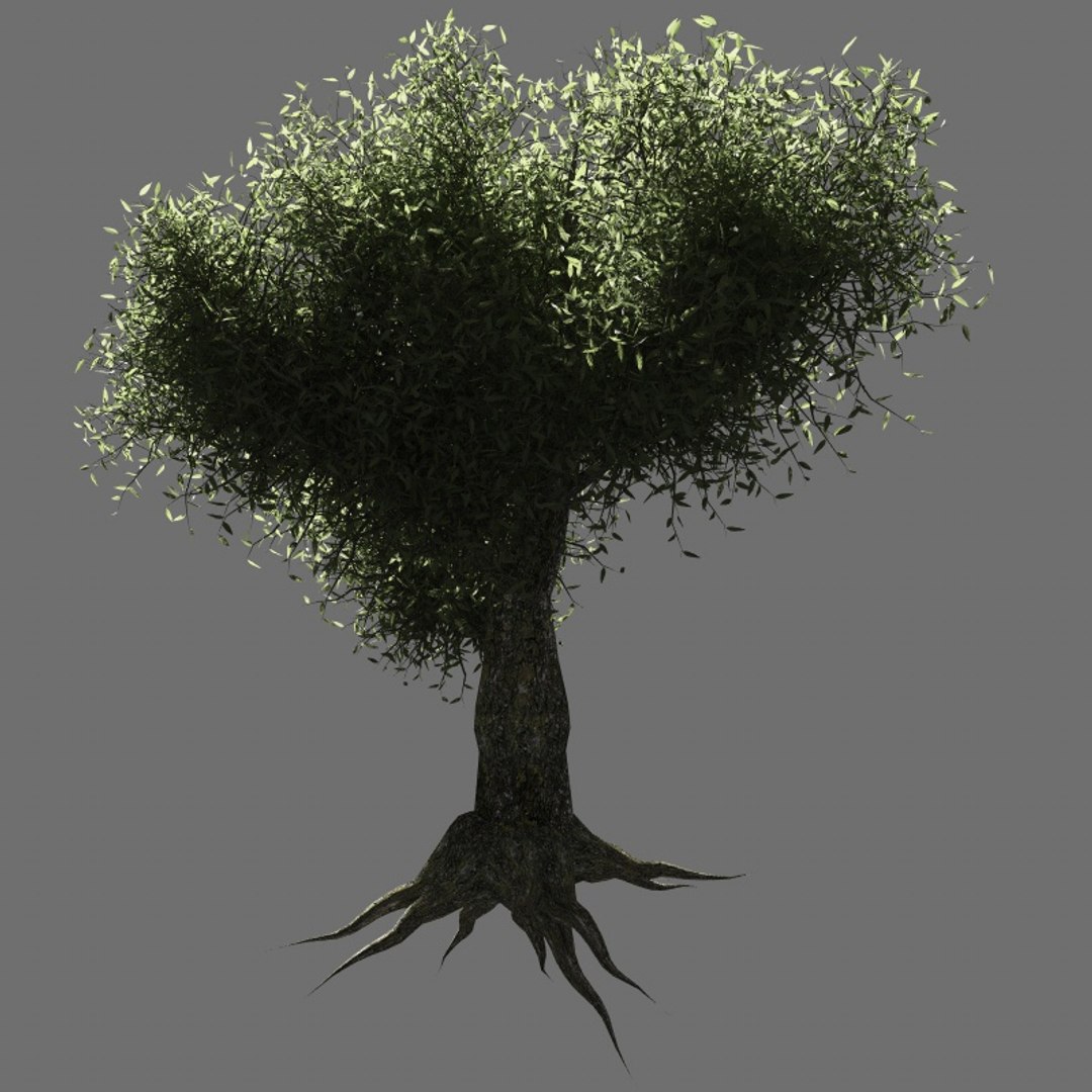 Olive Tree 3d Model