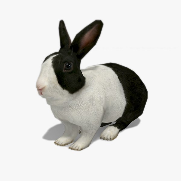 Rabbit3D模型 - TurboSquid 1949542