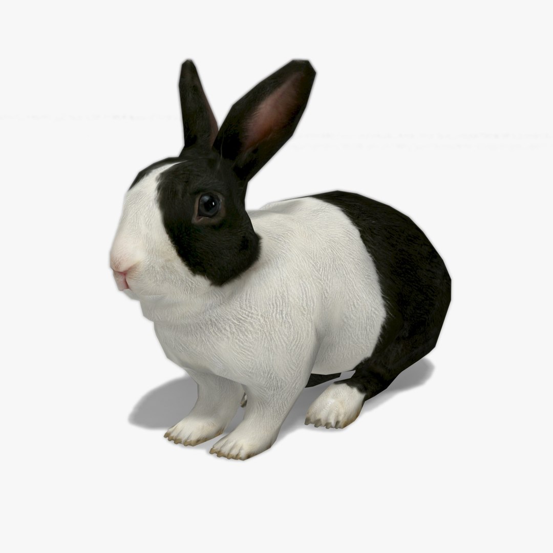 3D Rabbit model - TurboSquid 1949542