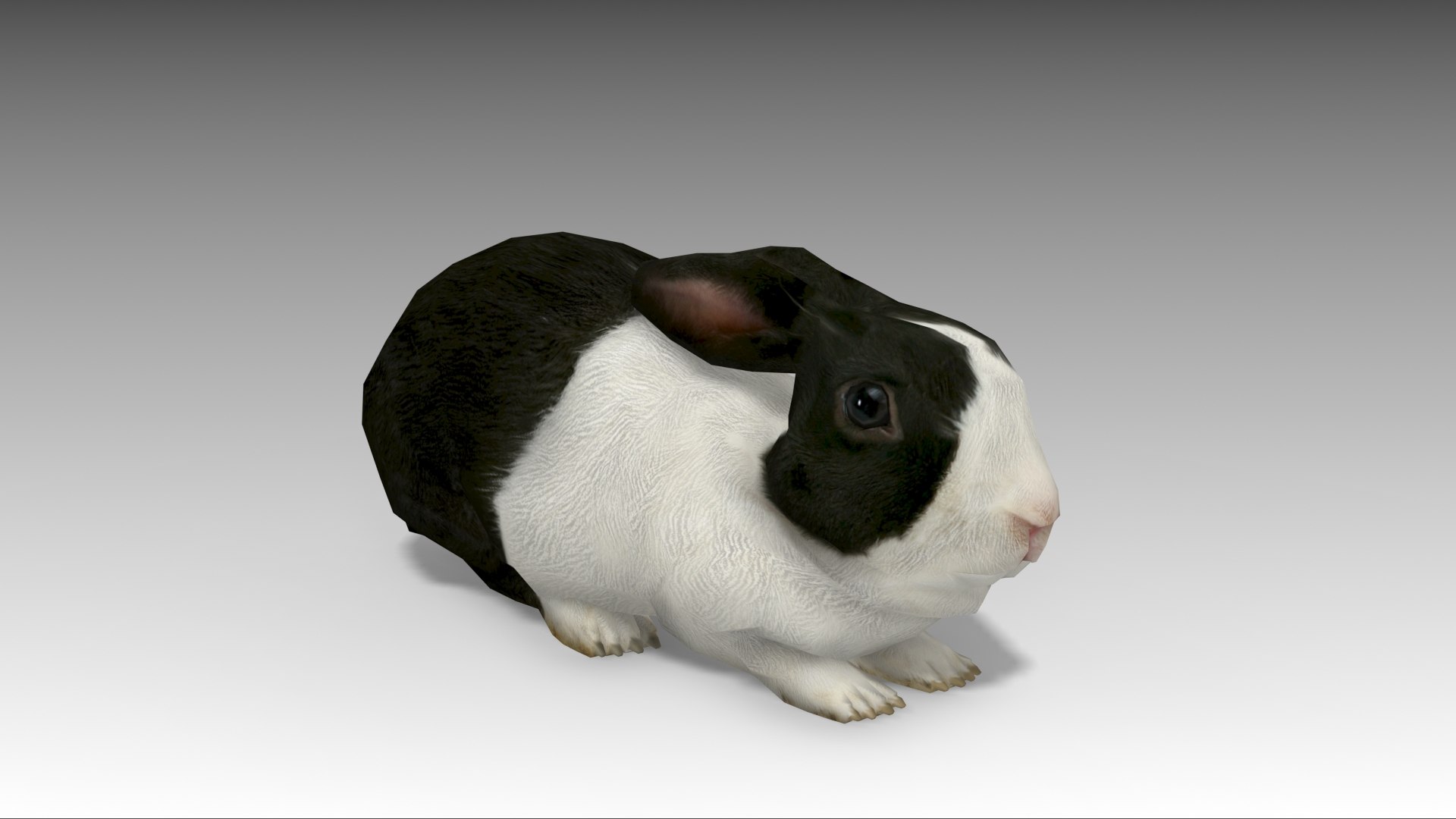 3D Rabbit model - TurboSquid 1949542