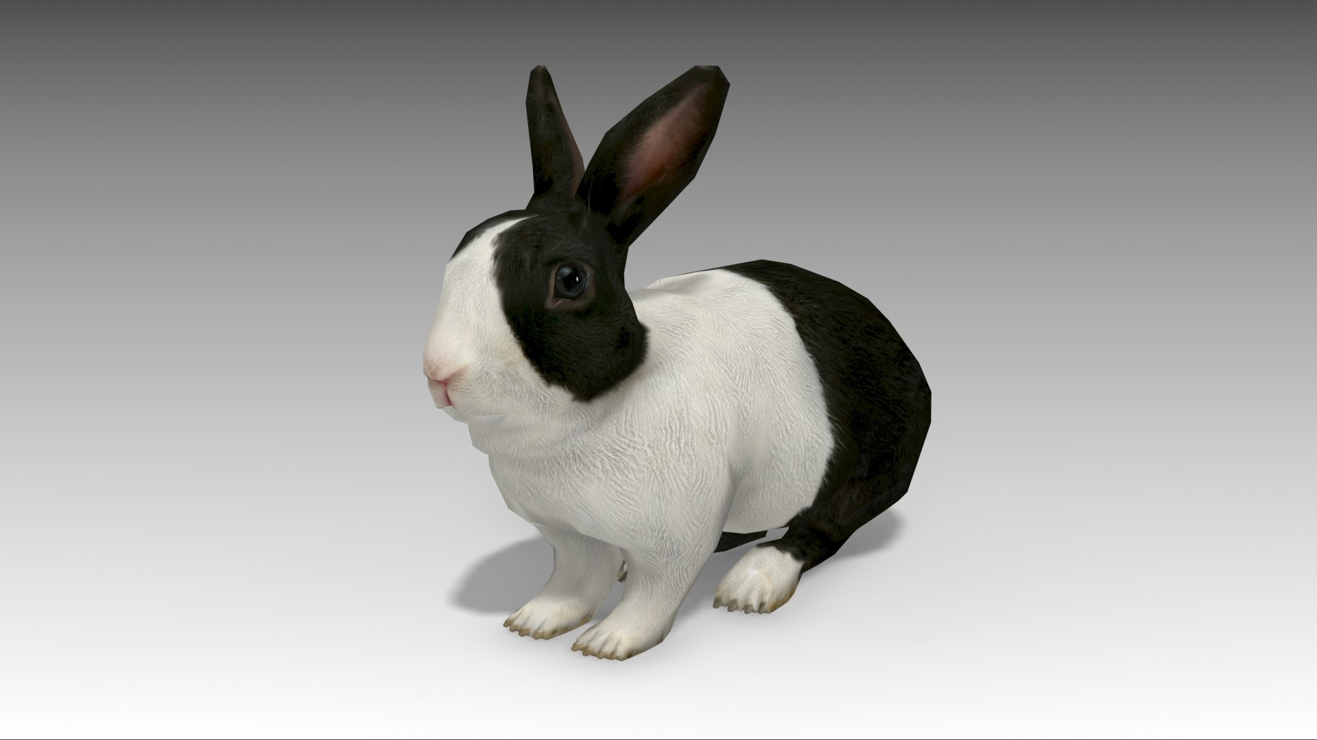 3D Rabbit model - TurboSquid 1949542
