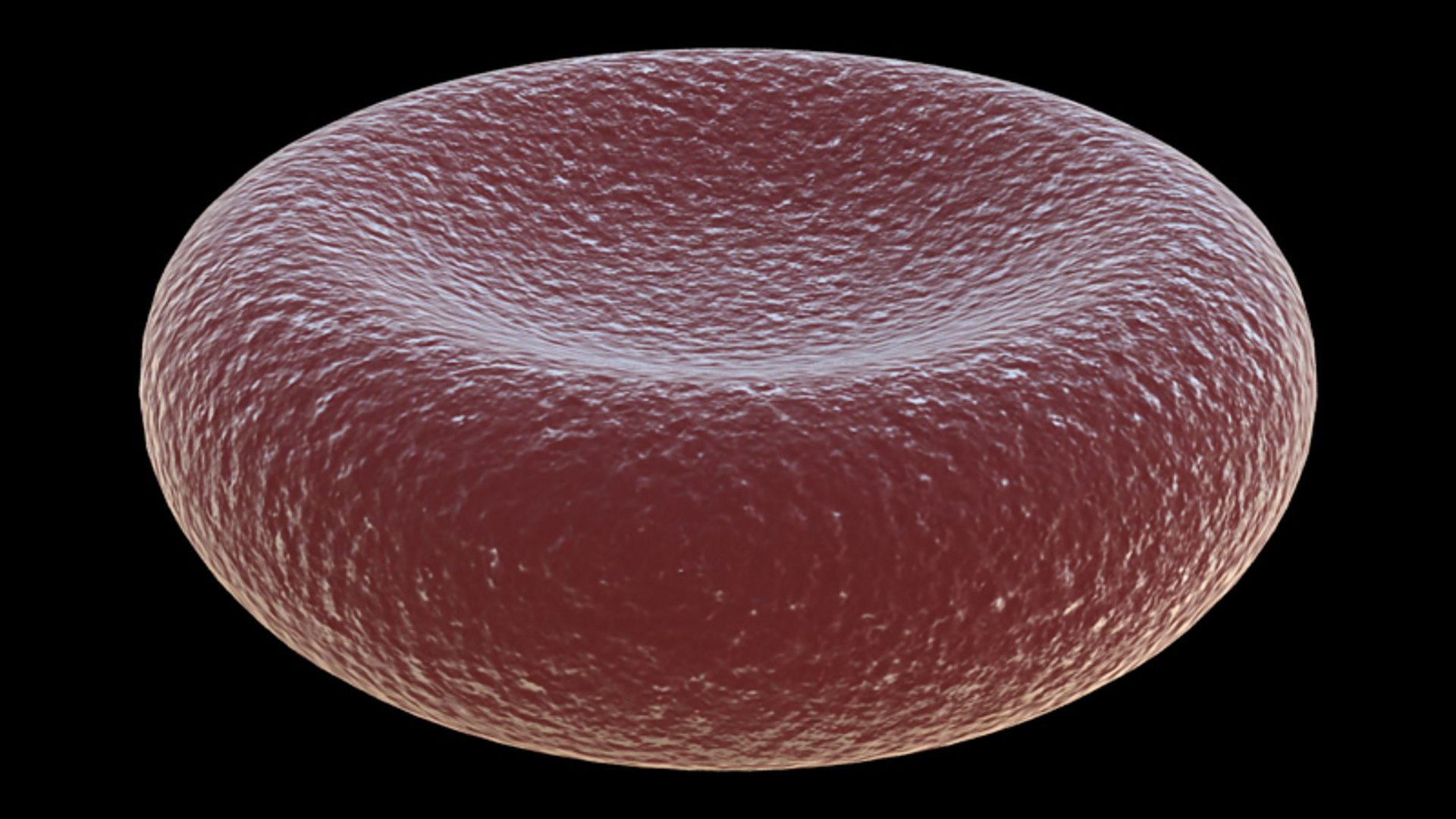 3D Model Realistic Red Blood Cell - TurboSquid 1171472