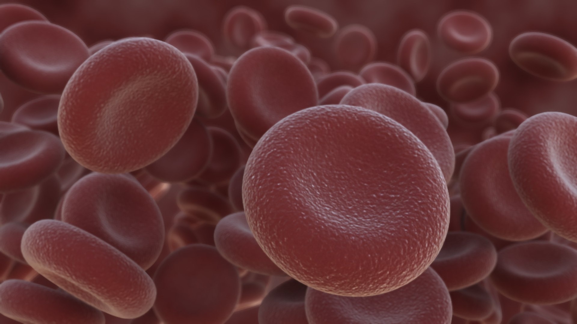 3D Model Realistic Red Blood Cell - TurboSquid 1171472