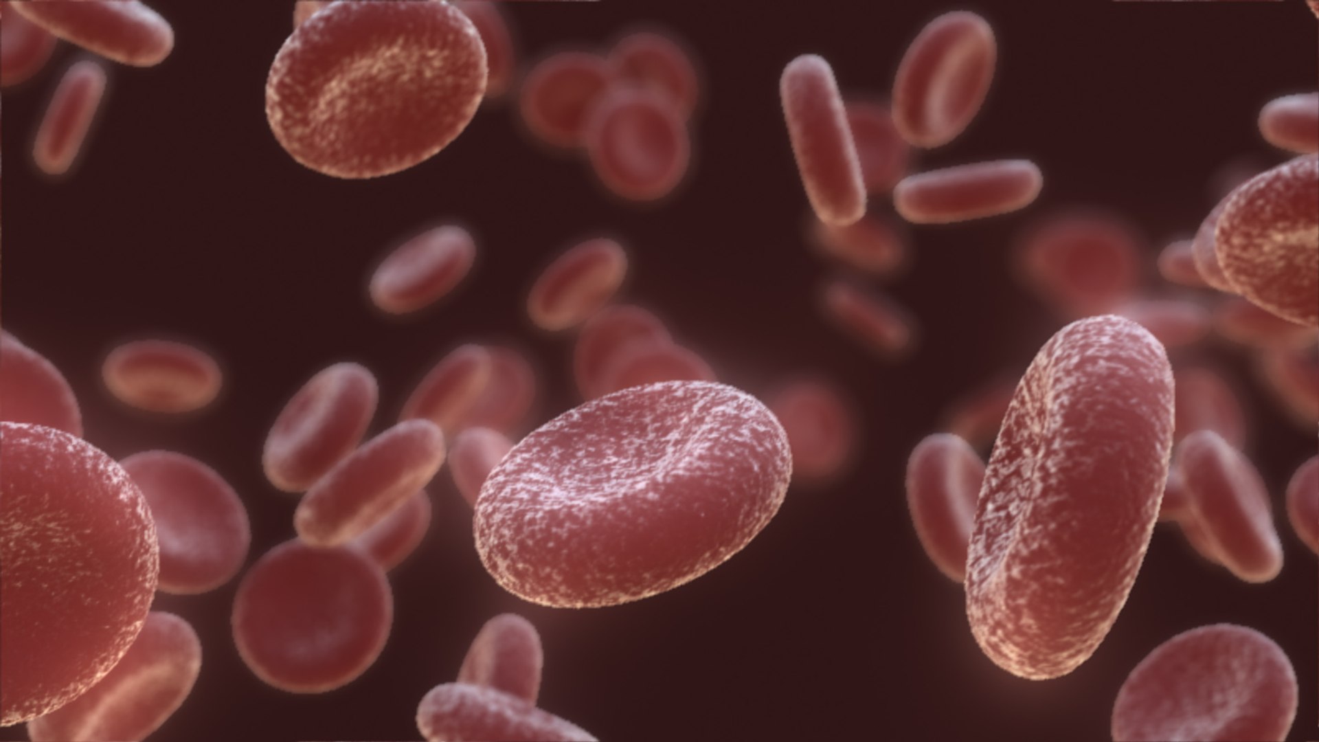 3D Model Realistic Red Blood Cell - TurboSquid 1171472