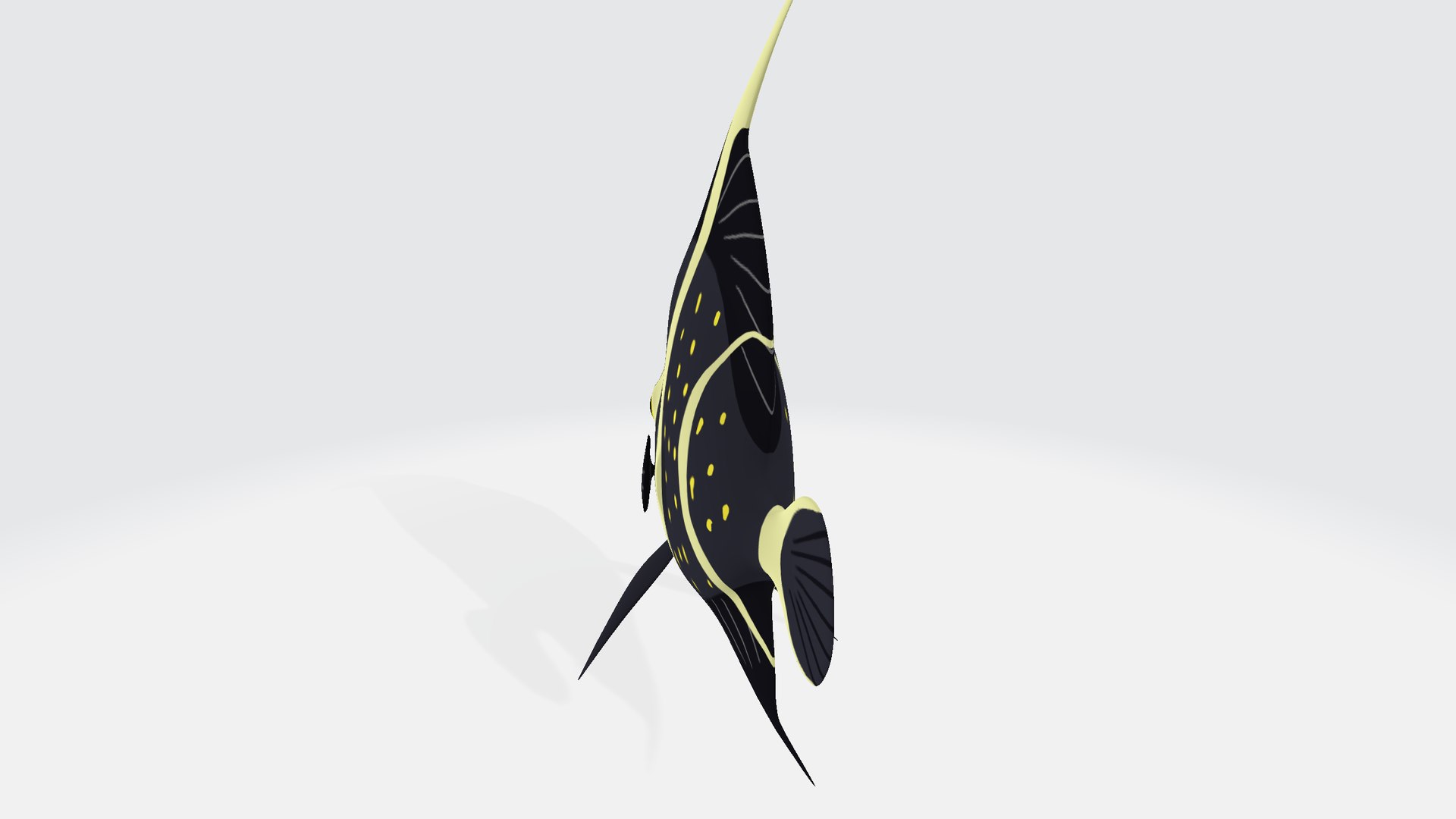 3D Angelfish - TurboSquid 2304377
