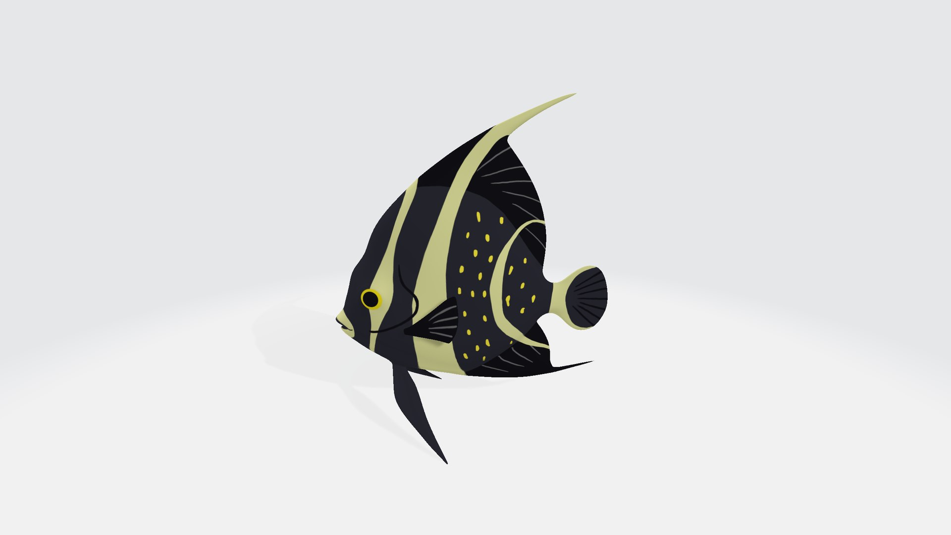 3D Angelfish - TurboSquid 2304377