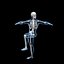 Human Skeletal Rigged Skeleton 3d C4d