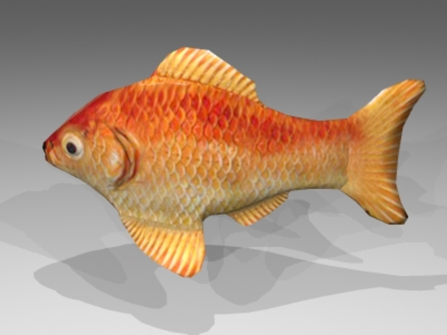 gold fish 3d model