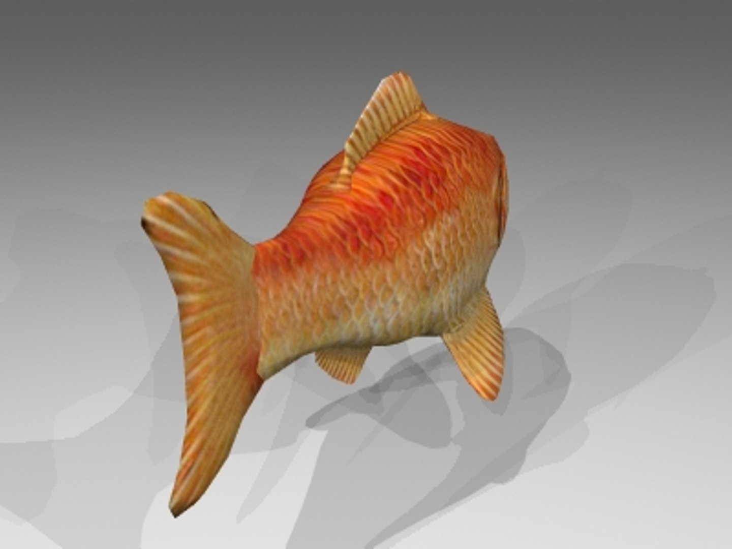 gold fish 3d model