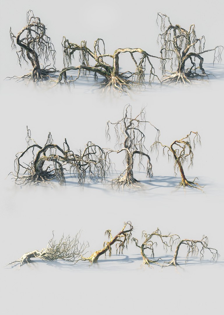 Spooky Forest Pack 10 Model - TurboSquid 1346438