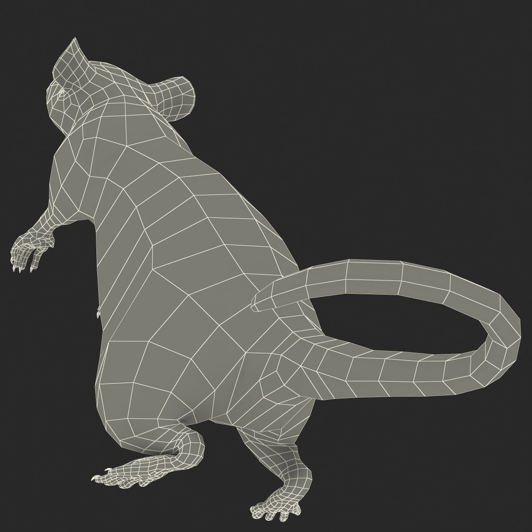 3d Model Rat 3 Pose 2
