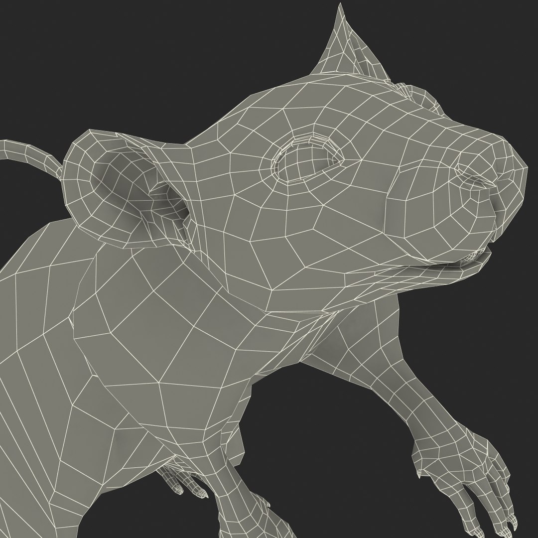 3d Model Rat 3 Pose 2