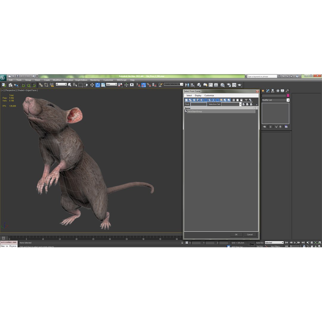 3d Model Rat 3 Pose 2